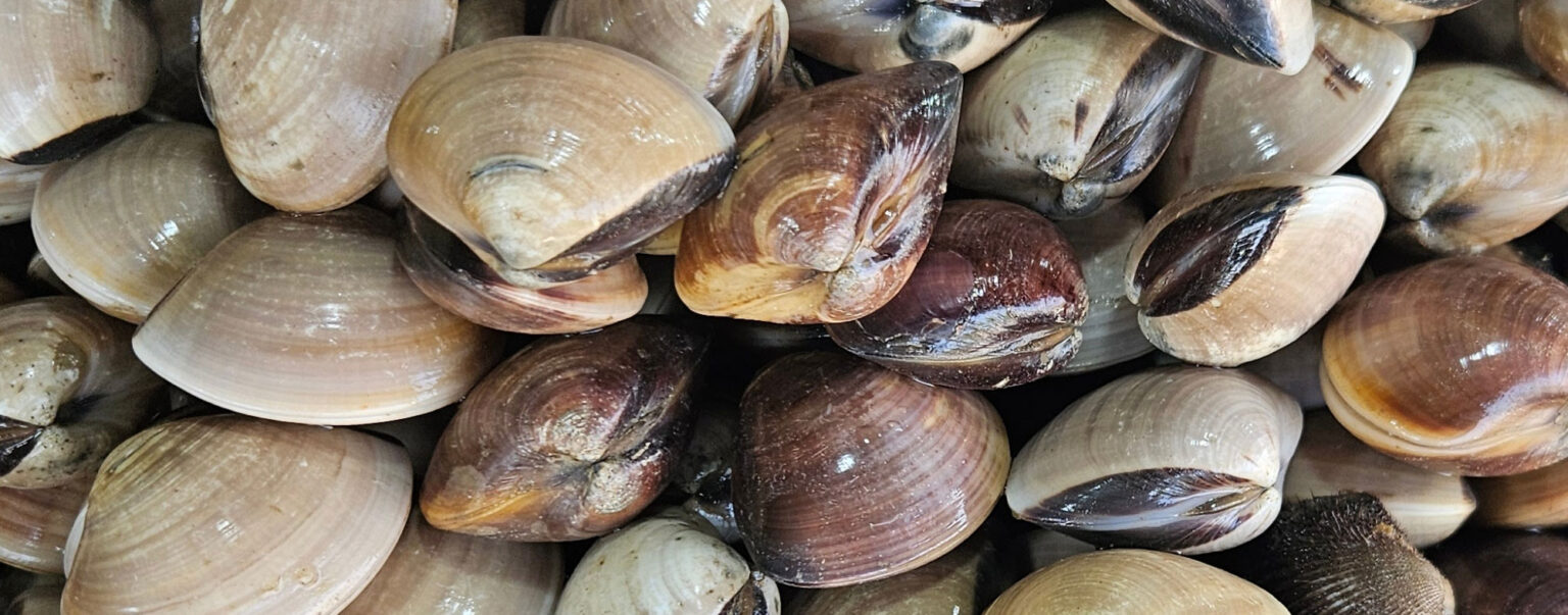 Yarmouth Bar Fisheries | Nova Scotia